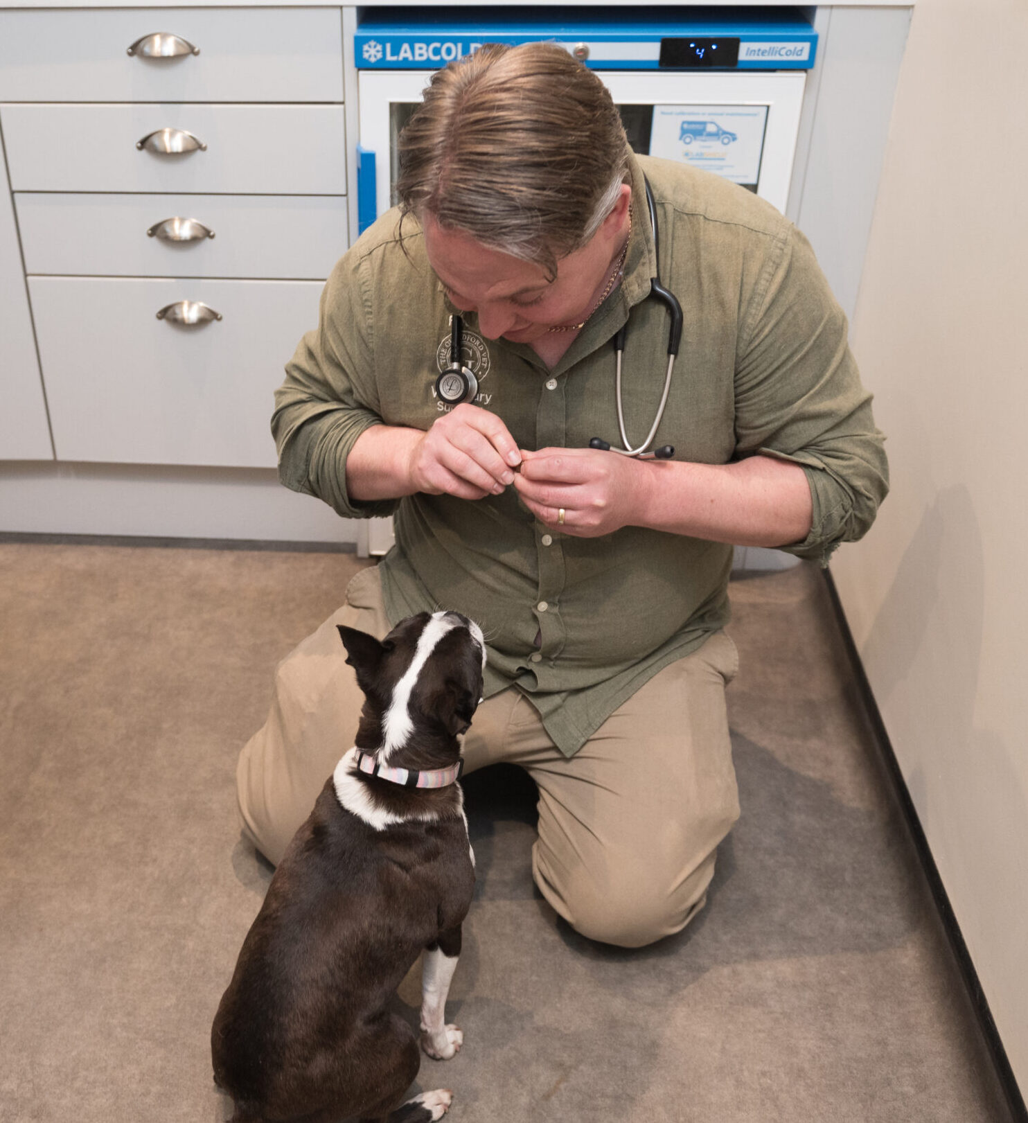 Pet Vaccinations - Guildford Vets